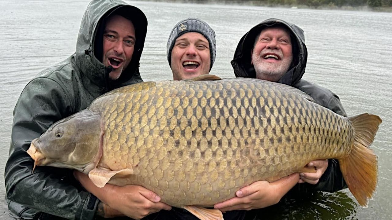 Giant carp store