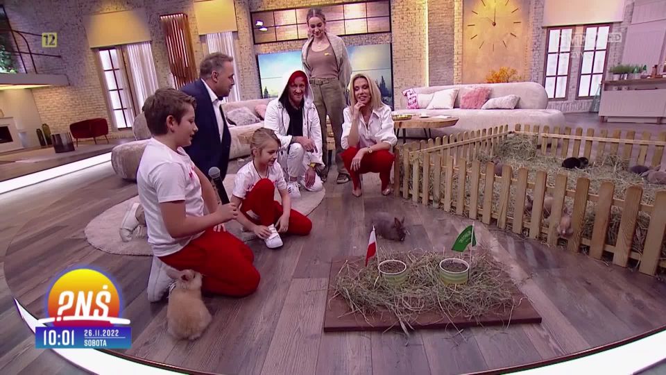 Królik przepowiada wynik meczu