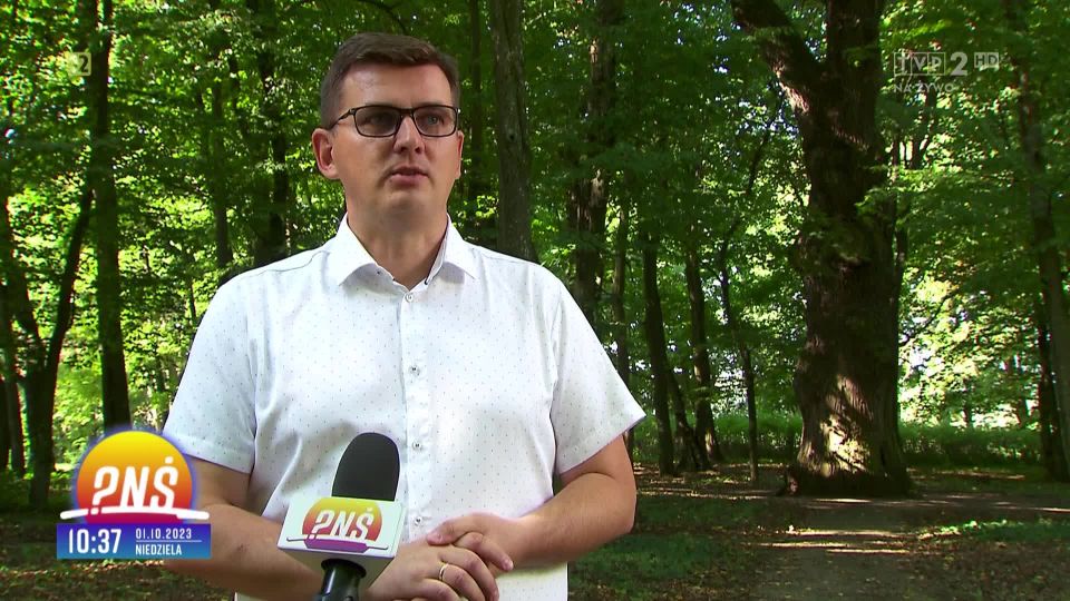 Gdzie rośnie dąb Dewajtis?