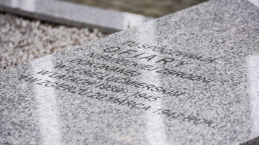 81. rocznica Zbrodni Zgierskiej. Niemcy zamordowali stu Polaków [ZDJĘCIA]