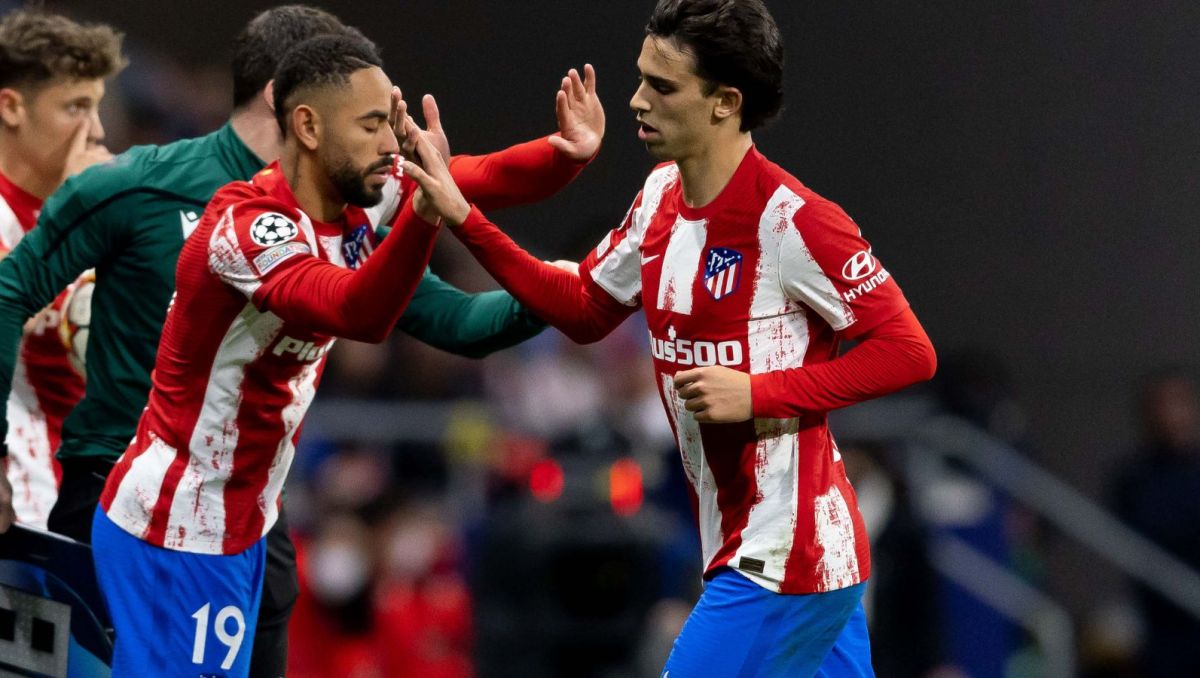 Premier League. Matheus Cunha wypożyczony do Wolverhampton | TVP SPORT