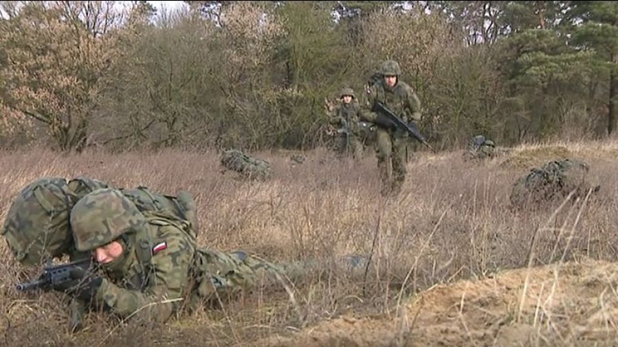 Prosty sposób na wilki. „Fladry” mają je odstraszać
