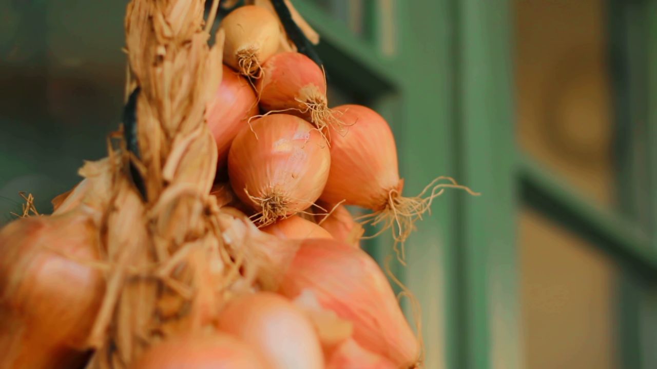 Rodzaje cebuli i ich zastosowanie