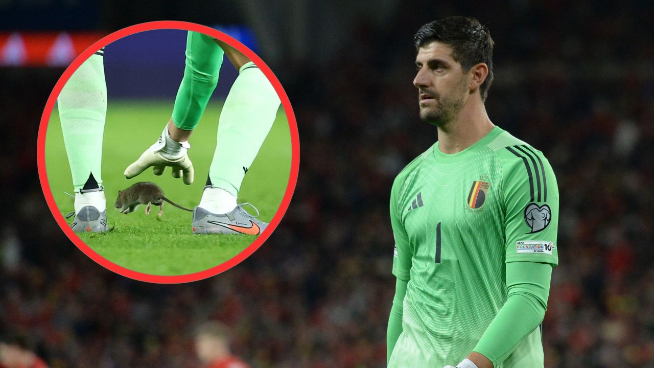 El. MŚ 2026. Thibaut Courtois kontra… szczur. Niespodziewany intruz w ...